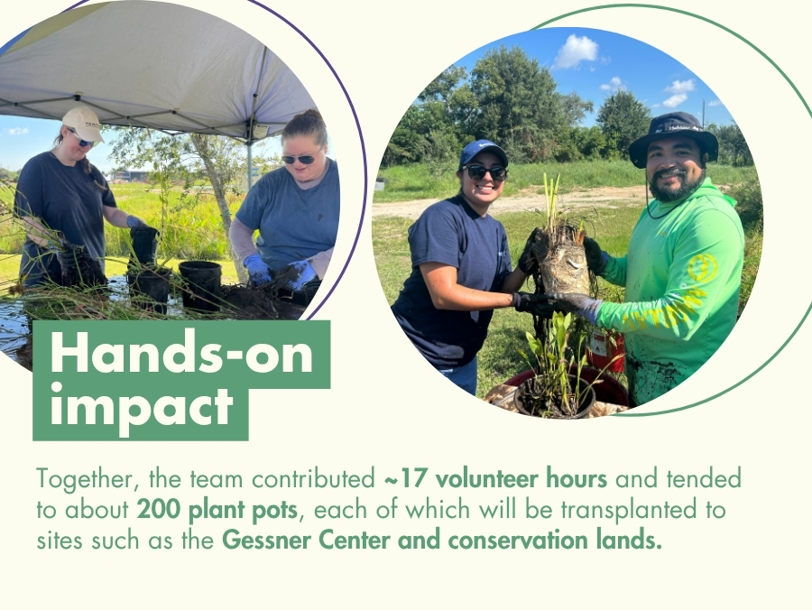 Latest News | Global Energy Logistics Maritime Specialist | AET Tankers